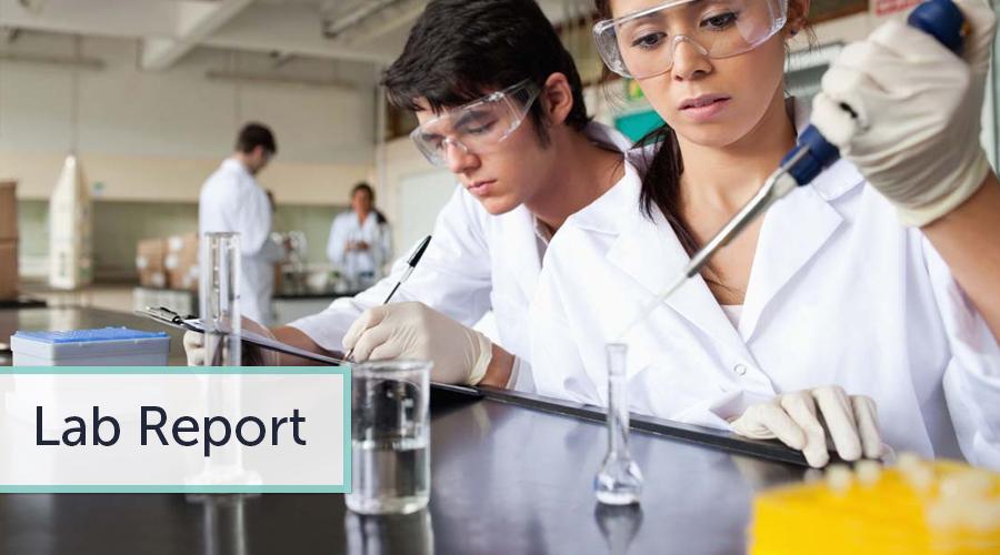  Parts Of A Lab Report The Parts Of A Lab Report 2019 01 23